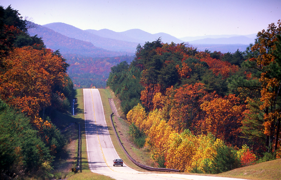 Scenic Alabama Inc | Mightycause