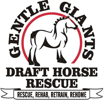 draft horse rescue