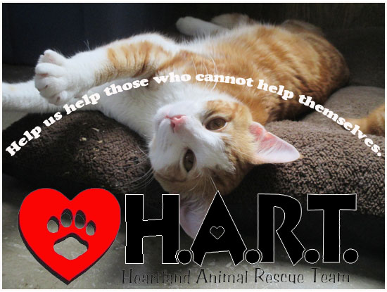 Heartland Animal Rescue Team | GiveMN