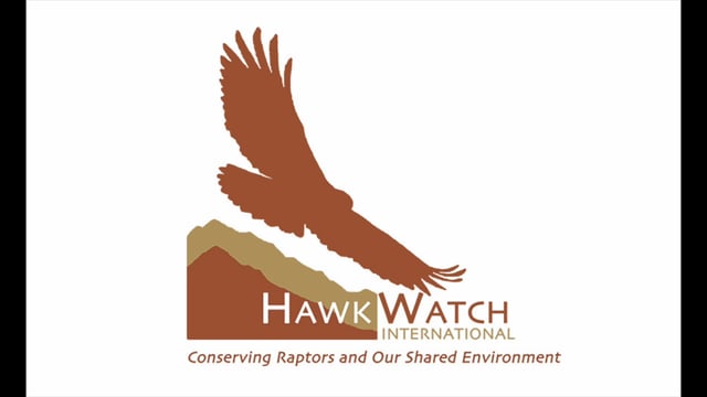 Hawkwatch International Inc | GiveMN